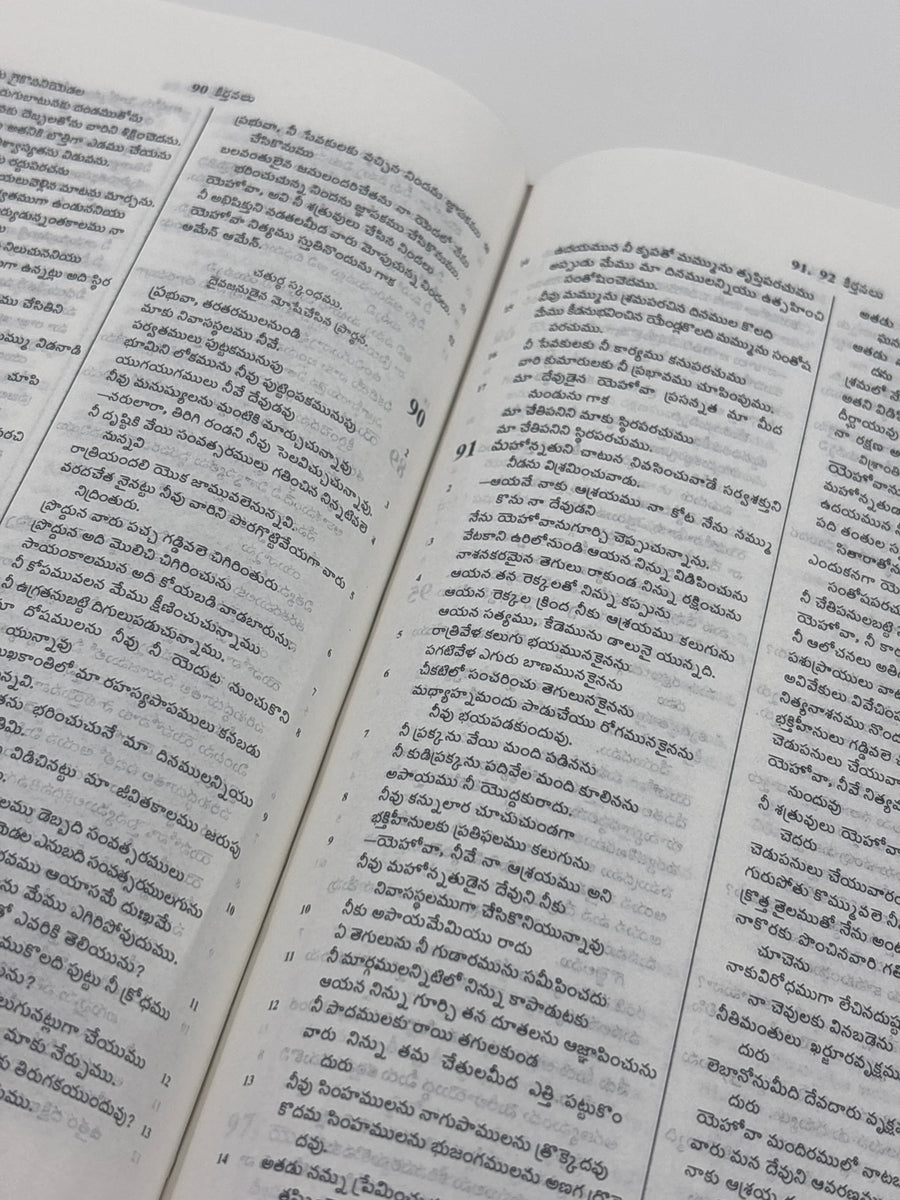 Telugu Holy Bible | Semi-Compact | PU Cover with Gilt Edges | Yapp Bin ...