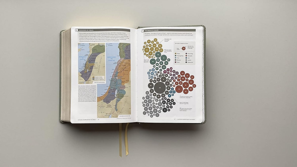 NLT Dayspring Hope & Encouragement Bible (Cloth over Board Deluxe, Sea ...