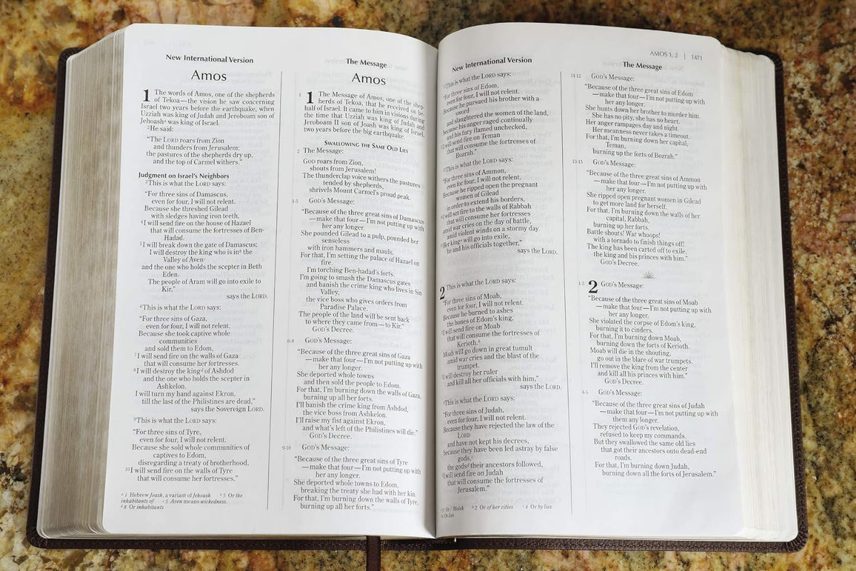 NIV, the Message, Parallel Bible, Leathersoft, Brown: Two Bible Versio ...