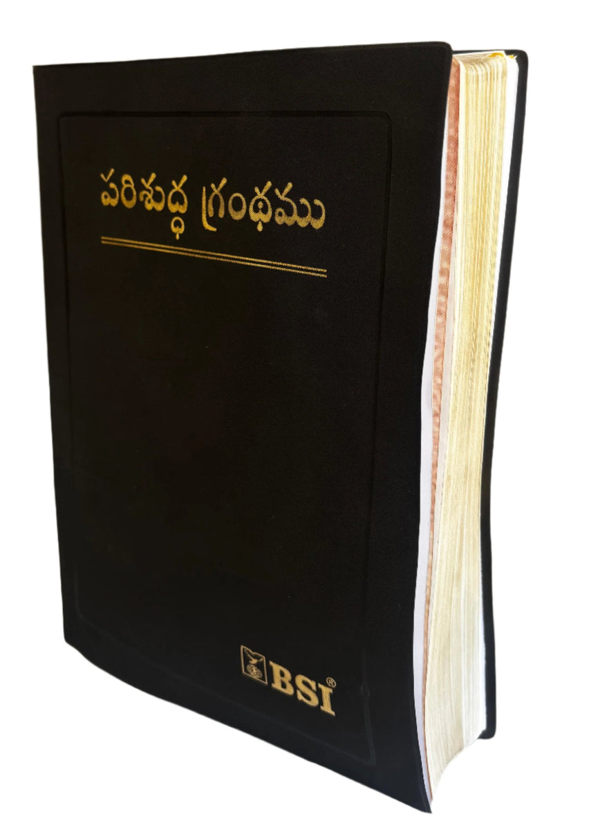 Telugu Holy Bible – Senior Citizen Edition with PL Gilt Yapp Binding ...