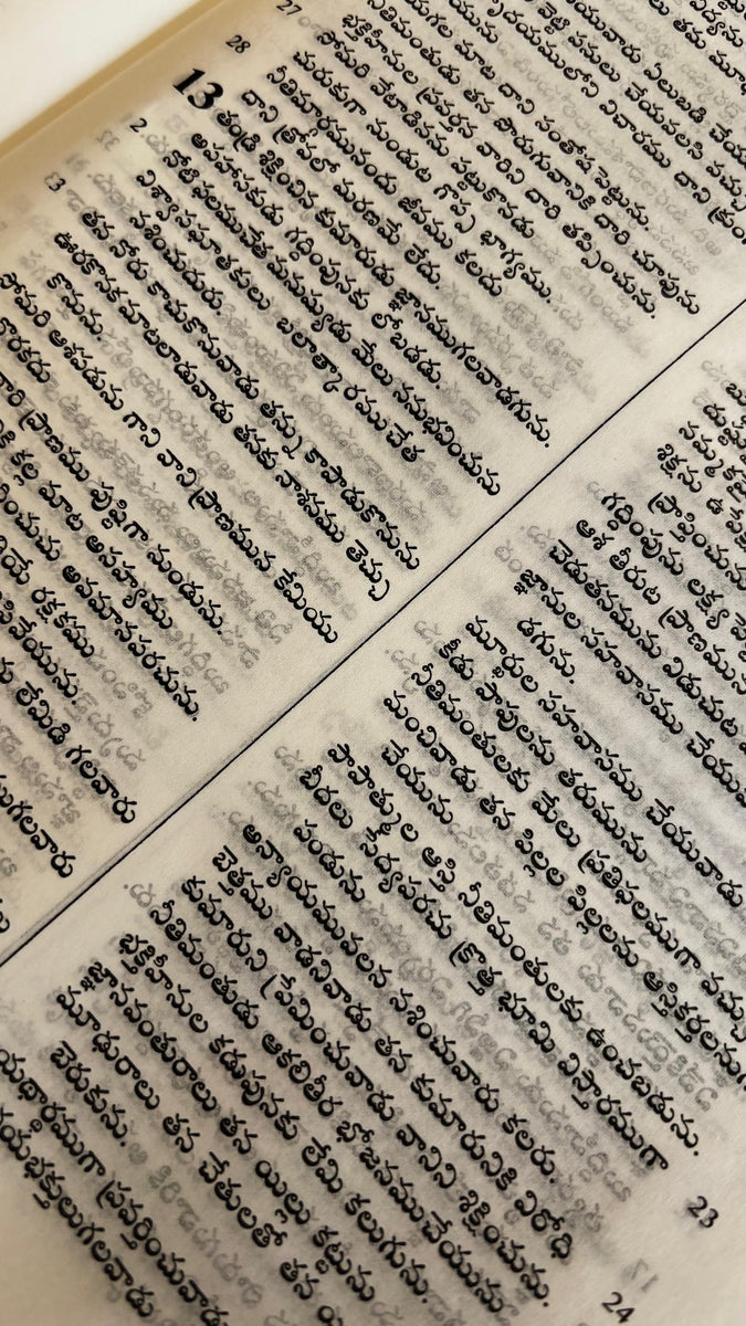 Telugu Holy Bible – Senior Citizen Edition with PL Gilt Yapp Binding ...