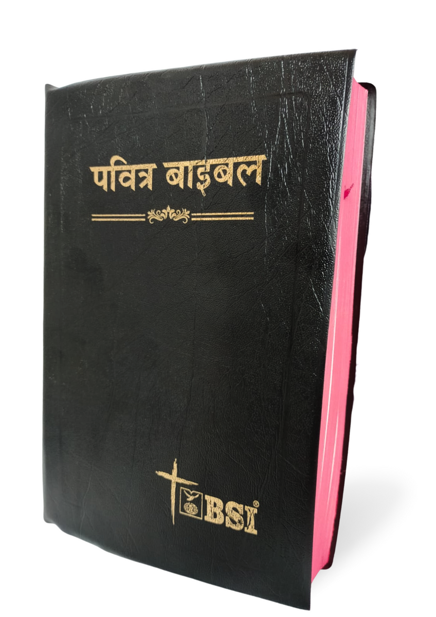 Hindi Holy Bible - BSI version containing Old and New Testament. Packi ...