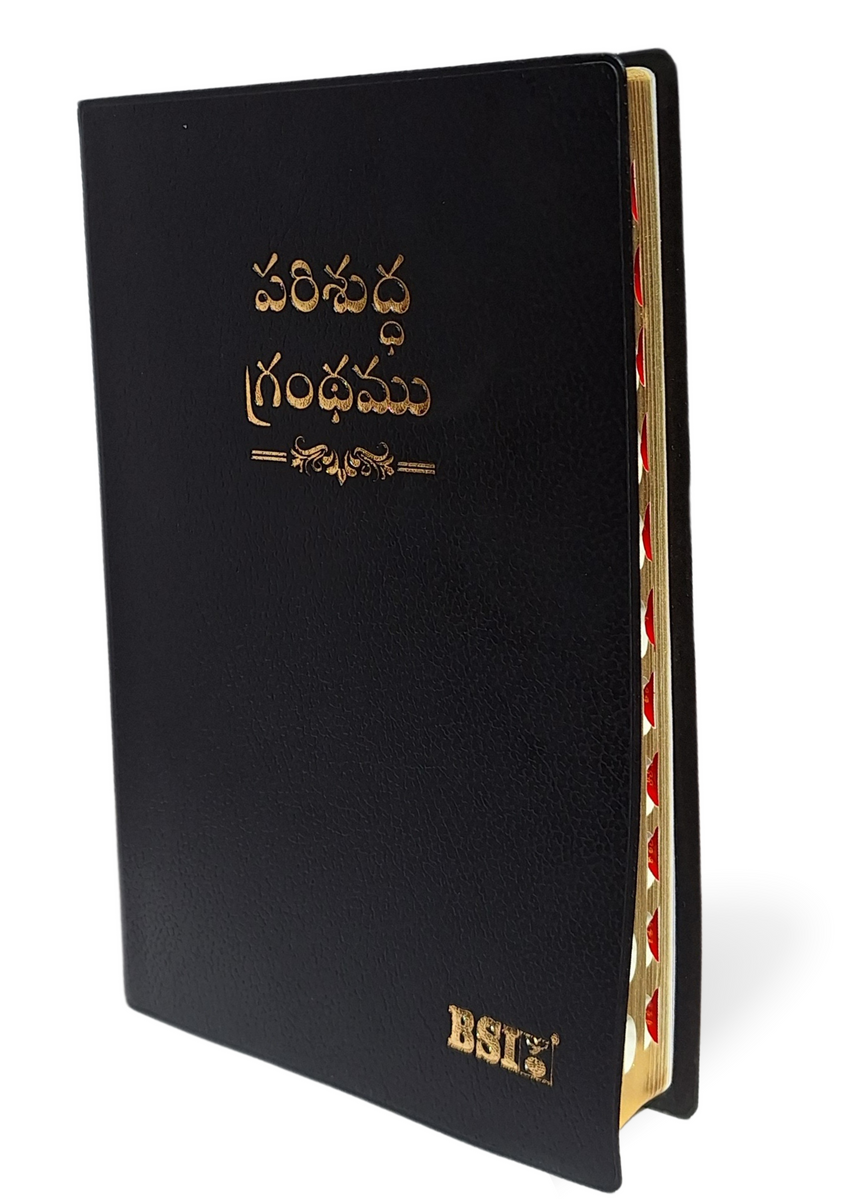 Telugu Holy Bible OV 2021 with Concordance, , Ti Yapp, Leather Like In ...